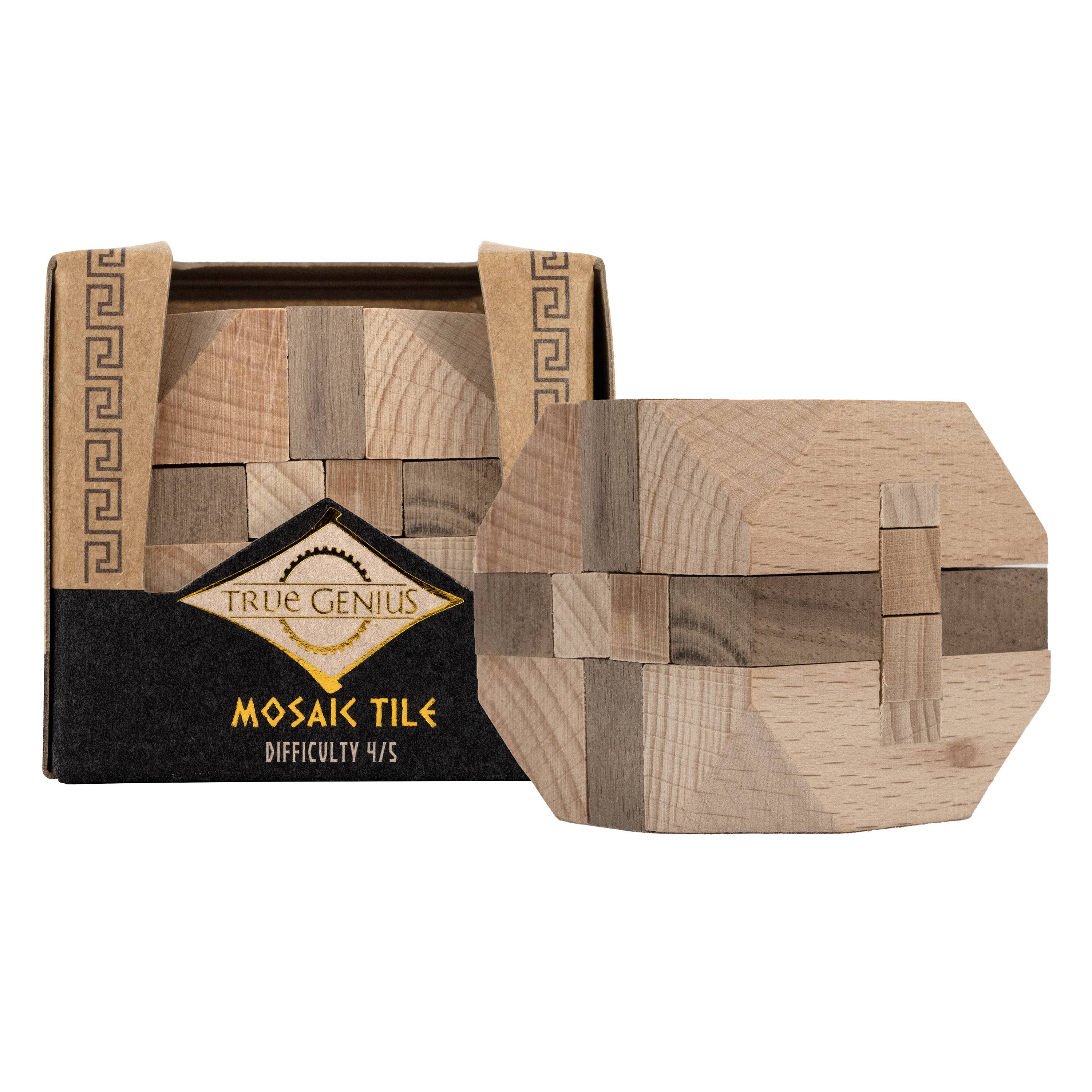 True Genius Mosaic Tile Puzzle