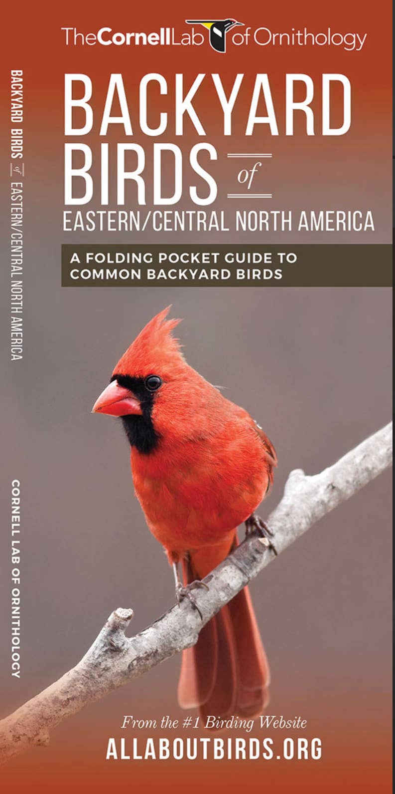 Waterford Press Backyard Birds of Eastern/Central US
